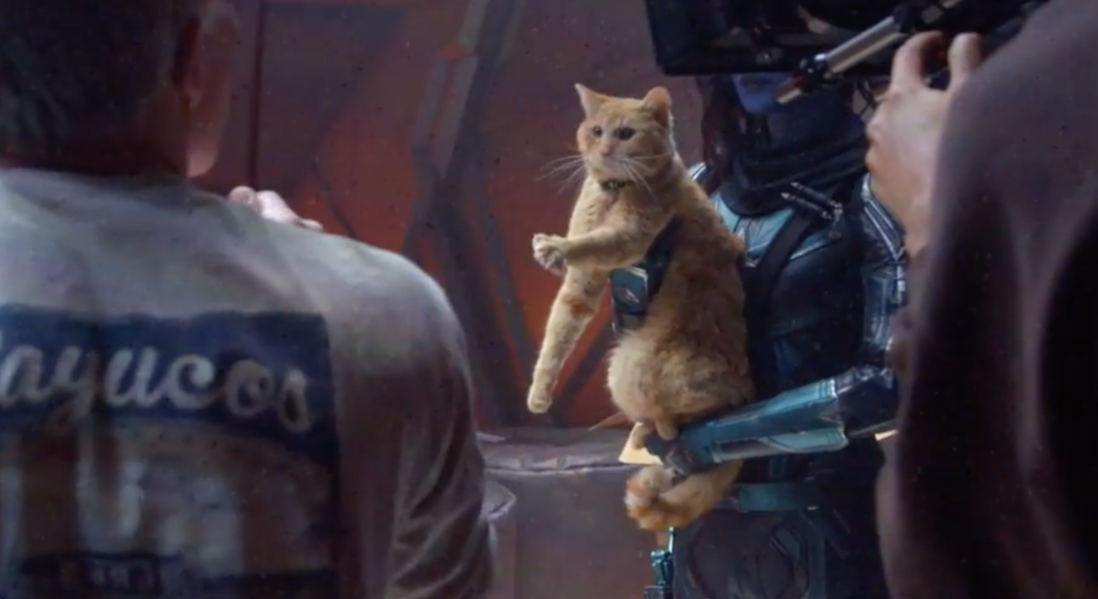 Lanzan video detrás de cámaras de Goose para Capitana Marvel
