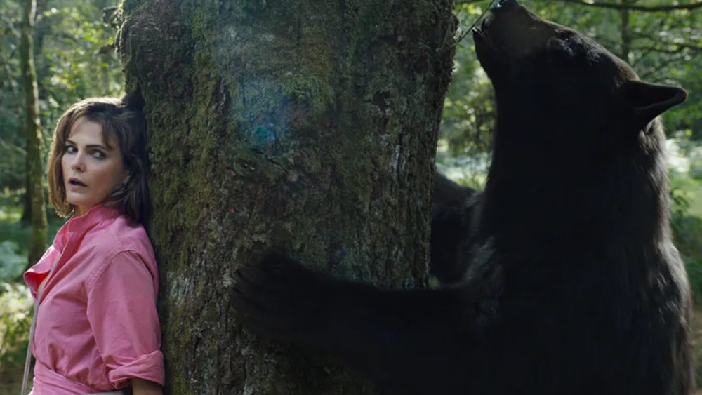 Oso intoxicado (Cocaine Bear) – Estreno, trailer y todo sobre la ...