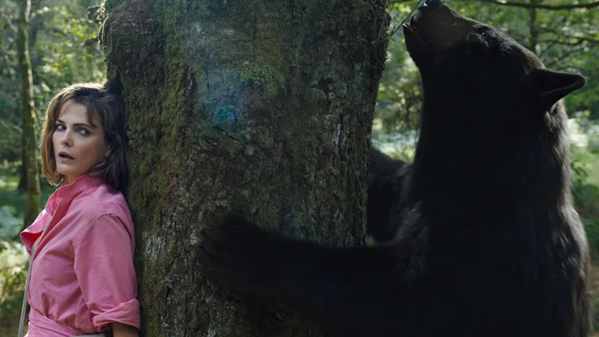 Oso intoxicado (Cocaine Bear) – Estreno, trailer y todo sobre la ...